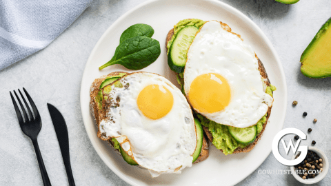 Cafes in Whitstable - Best Café for Breakfast Lunch or Brunch